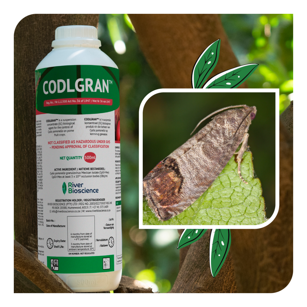 River Bioscience | Crop Protection | Codling Moth | Codlgran